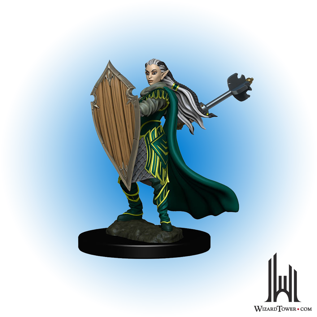 Dungeons & Dragons Premium Figures - Female Elf Paladin – Wizard's Tower